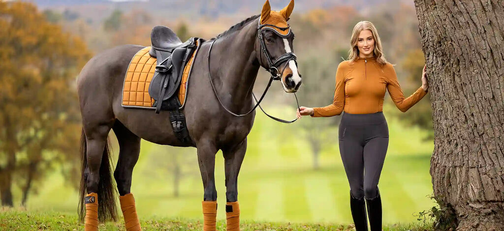 The Best Horse Tack Brands 2025 Top Picks for Quality & Durability